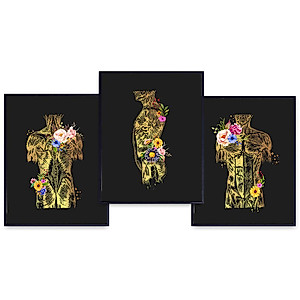 Human Anatomy Wall Art Set - Gift for Orthopedic Doctor, Physical or Massage Therapist, Nurse, Physicians Assistant, RN - Modern Gold Floral Room Decor - Medical Office, Home, Apartment, Living Room