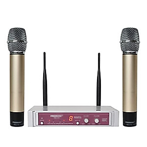 n/a Dual Way Digital UHF Wireless Microphone with 2 Metal Handhelds 2 Pcs Metal Handhled Microphones (Color : Black)