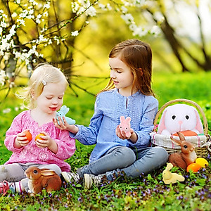 Easter Bunny Stuffed Animals with 3 Bunnies in a Carrot Rabbit Decor 10 Inches Easter Rabbit Plush Soft Cute Bunny Plush Toys Desktop Decoration for Boys and Girls Holiday Birthday Gift(Bunny)