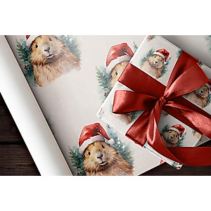 Watercolor Hamster Gerbil Guinea Pig Xmas Gift Wrap Premium Thick Wrapping Paper Capybara Animal Theme Merry Christmas Rodent Party Decor (6 foot x 30 inch roll)