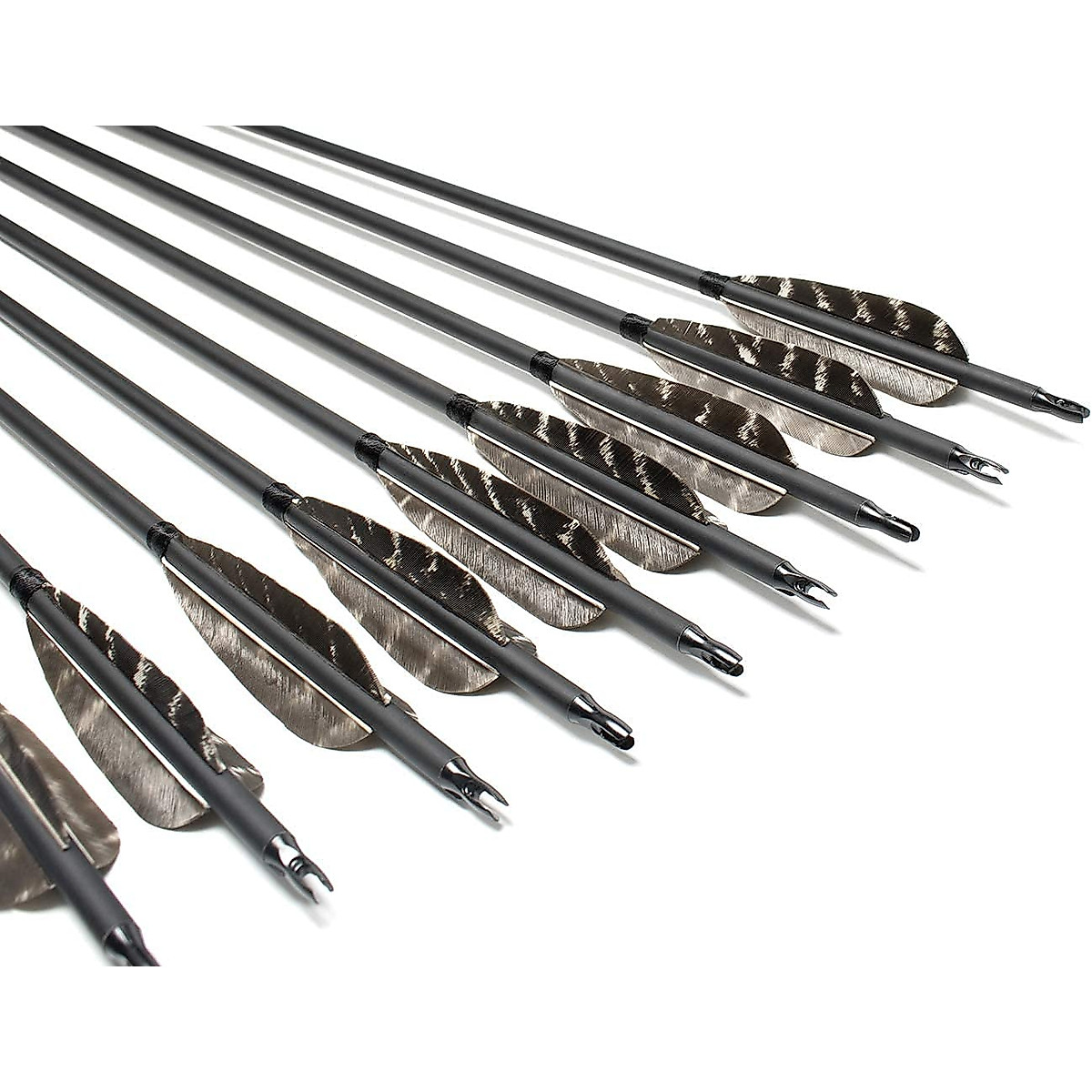 ARCHERY SHARLY 31Inch Carbon Targeting Practice Arrows Turkey Feather Fletching Arrows with Removable Tips for Recurve Traditional Long Bow (12 Pack)