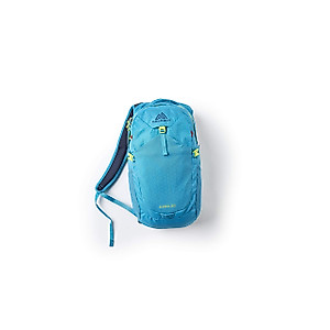 Gregory Mountain Products Nano 20 Everyday Outdoor Backpack, Calypso Teal, one Size
