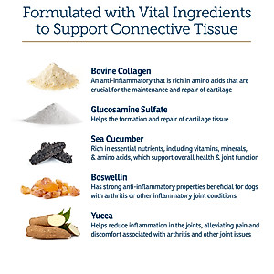 Rx Vitamins NutriFlex for Cats & Dogs - Glucosamine for Dogs Hip and Joint Supplement - with Bovine Collagen and Chondroitin - Joint Pain Relief & Anti Inflammatory for Dogs - Beef Liver (90 Chews)