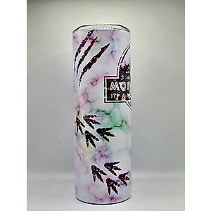 Motherhood is a Walk in The Park Tumbler, Skinny Tumbler, Jurassic Tumbler, Dinosaur Tumbler, mom Gift