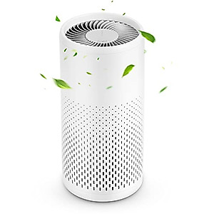 CLEVAST Air Purifier for Home - H13 True HEPA Filter Air Cleaner Quality Sensors for Large Room with Japanese Motor, Low Noise, Remove 99.97% Smoke, Pollen, Pet Dander, Dust (CL-AP200)