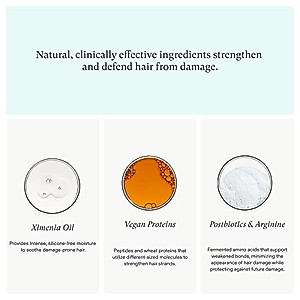 Nutrafol Conditioner I Defends from Damage for Stronger Hair I Physician-formulated for Thin & Thinning Hair I Color Safe I Lightweight Protection I 8.1 FL OZ