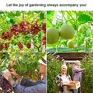 200PCS Plant Support Garden Clips, Vegetable Tomato Supports Trellis Clip Tape for Climbing Crop Vine Twine String Cage Ties Stakes, Grow Strawberry Rose Grape Cucumber Orchid Pea Pothos Melon Tree