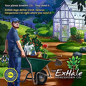 The Exhale Homegrown CO2 - Premixed Ready to Use Bag for Grow Rooms & Tents with Hanger & Twin Canaries Chart