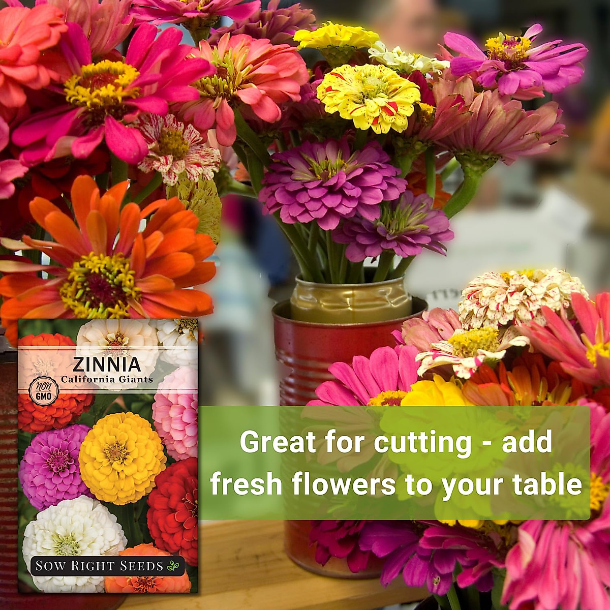 Sow Right Seeds California Giant Zinnia Seeds - Full Instructions for Planting, Beautiful to Plant in Your Flower Garden; Non-GMO Heirloom Seeds; Wonderful Gardening Gifts (4)