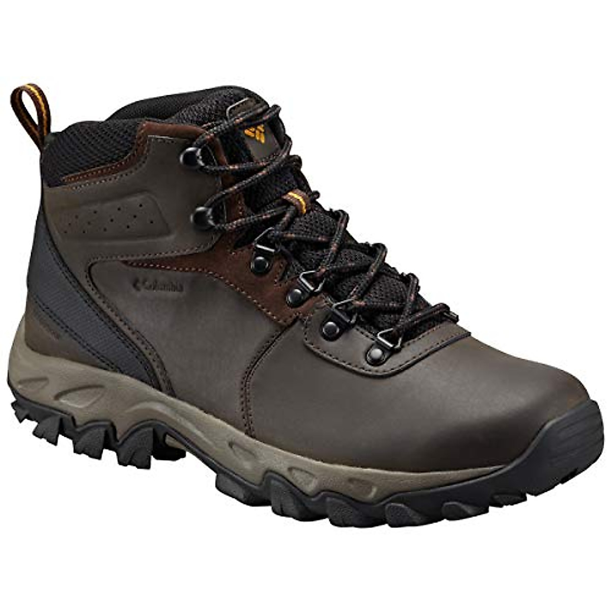 Columbia mens Newton Ridge Plus Ii Waterproof Hiking Boot, Cordovan/Squash, 9 US