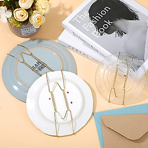 36 Pieces Plate Hangers 6/8/10 Inch Wall Plate Holder Stainless Steel Platter Wall Hanger Invisible Decorative Wire Plate Hangers Holders with 36 Pcs Wall Hooks 144 Pcs Tip Protectors for Antique Art