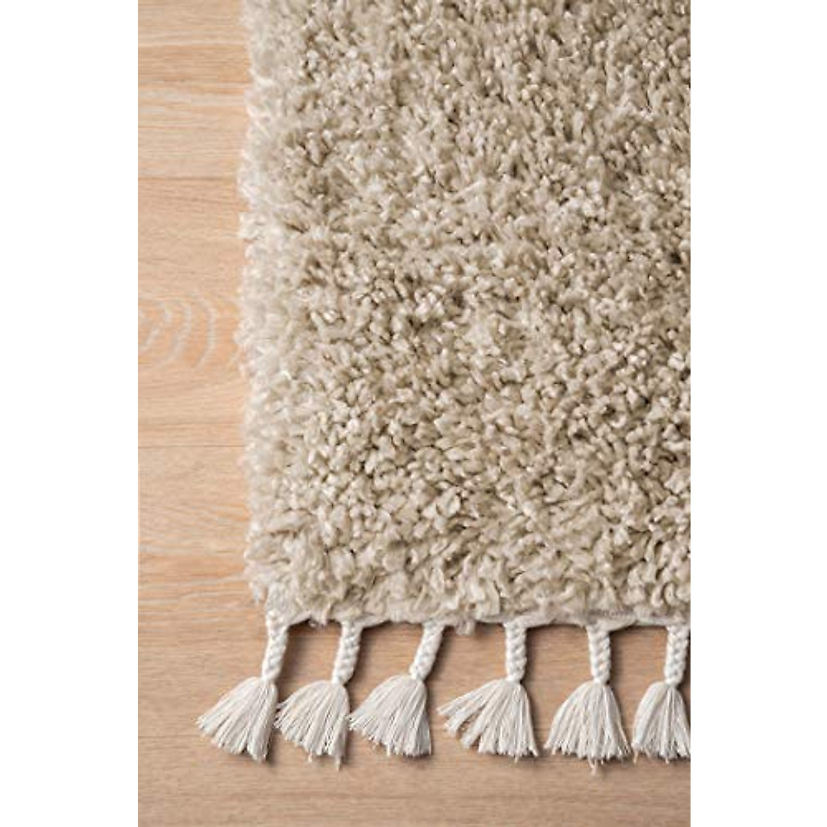 nuLOOM Neva Modern Tasseled Shag Accent Rug, 2' x 3', Beige