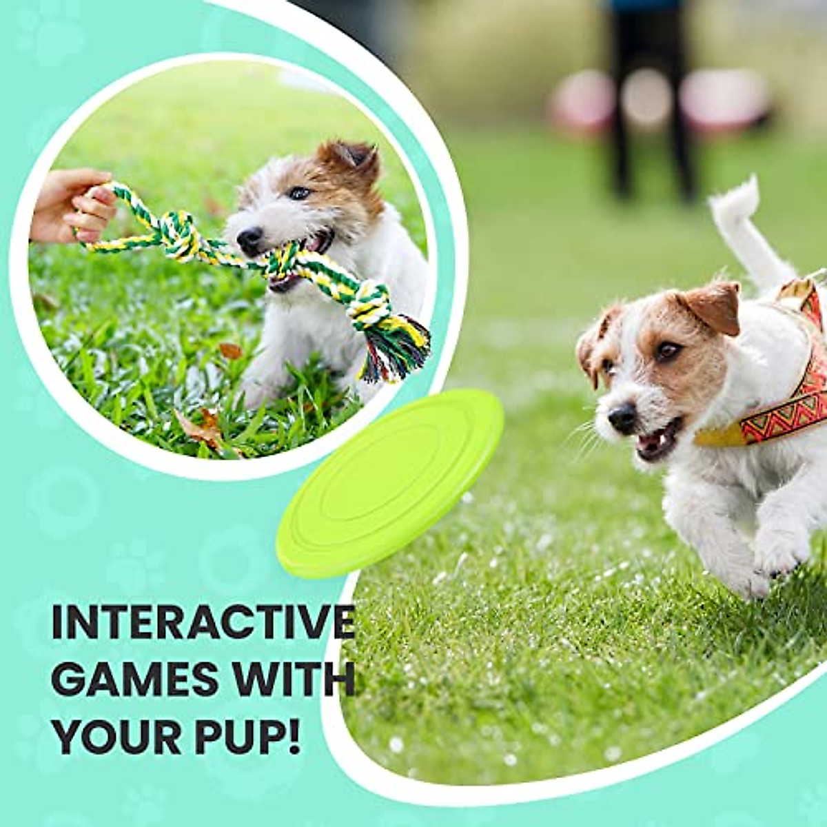 SHARLOVY Dog Chew Toys for Puppies Teething, Puppy Toys 16 Pack Dog Toys for Aggressive Chewers Puppy Chew Toys Peas Rubber Bone Dog Toy Bundle Small Dog Squeaky Toys for Small Dogs