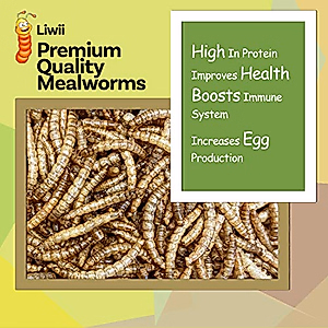 LIWII Dried Mealworms 2 LBS-100% Natural Non GMO High Protein Mealworms for Chicken-Bulk Mealworms for Wild Birds, Chicken Treats, Hamster Food, Gecko Food, Turtle Food, Lizard Food