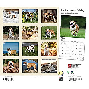 For the Love of Bulldogs 2022 14 x 12 Inch Monthly Deluxe Wall Calendar with Foil Stamped Cover, Animal Dog Breeds DogDays