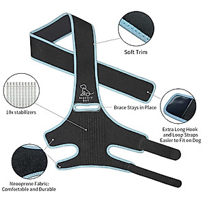 Dog Knee Brace (SMALL) Dog Knee Brace for Torn ACL Hind Leg - Dog Knee Brace Promotes Faster Recovery - Extra Supportive Dog Leg Brace with 10x Stabilizers & Longer Straps for an Anti-Slip Comfort Fit