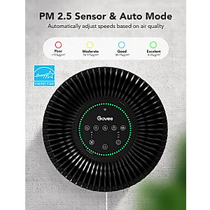 Govee Air Purifiers for Home Large Room Up to 1524 Sq.Ft, WiFi Smart Air Purifier with PM2.5 Monitor for Wildfire, H13 True HEPA Air Purifier for 99.97% Smoke, Pet Hair, Odors, 24dB Large Air Purifier