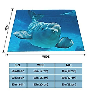 D-WOLVES Plush Throw Blanket,Cute Beluga Whale - Blue Soft Fuzzy Fleece Blanket,Cozy Outdoor Travel Blanket for Bedroom Livingroom Sofa Couch Car Bed,50x60 in