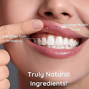 Dental Herb Company Tooth & Gums Tonic Mouthwash - Made with Pure Essential Oils to Relieve Bad Breath, Bleeding and Irritated Gums. (18 Oz)