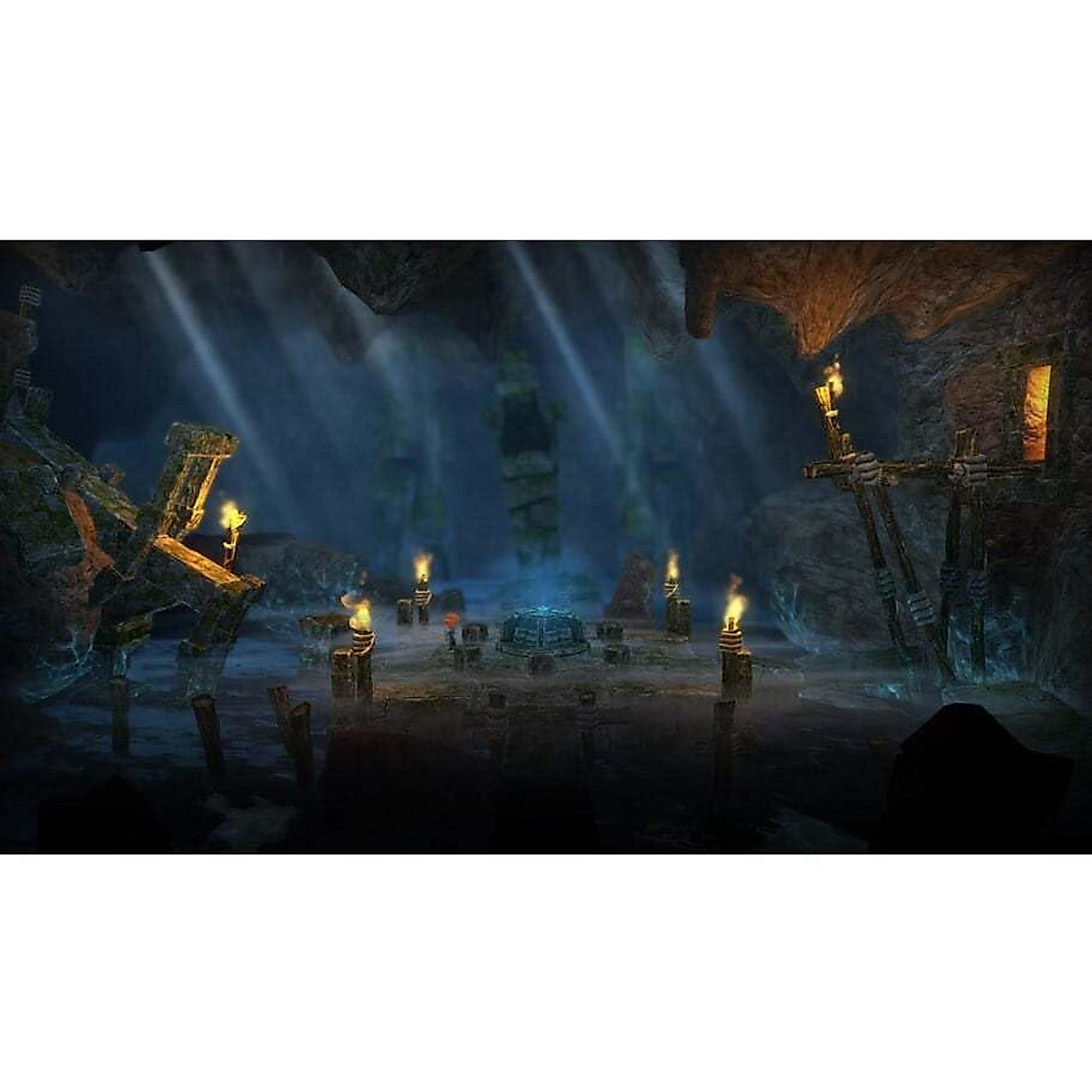 Max The Curse of Brotherhood (PS4)