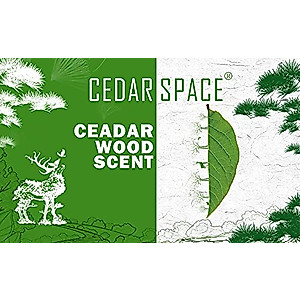 Cedar Space Cedar Blocks for Clothes Storage, 100% Aromatic Red Ceder Blocks, Cedar Planks, Cedar Accessories for Closets Storage, 16 Pcs