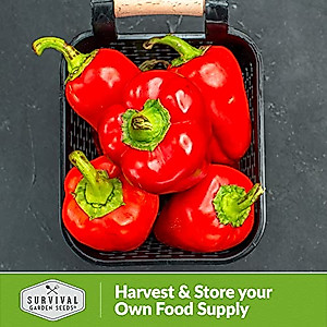 Survival Garden Seeds - Big Red Pepper Seed for Planting - Packet with Instructions to Plant and Grow Delicious Sweet Red Bell Peppers in Your Home Vegetable Garden - Non-GMO Heirloom Variety