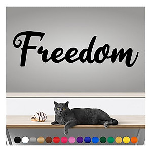 Transform Your Walls with Professional Grade, Outdoor Weatherproof Vinyl Stickers - Happy Sunday - UV Resistant, Made in The USA! Inspirational Words: Freedom: 14 Inch, Satin Silver