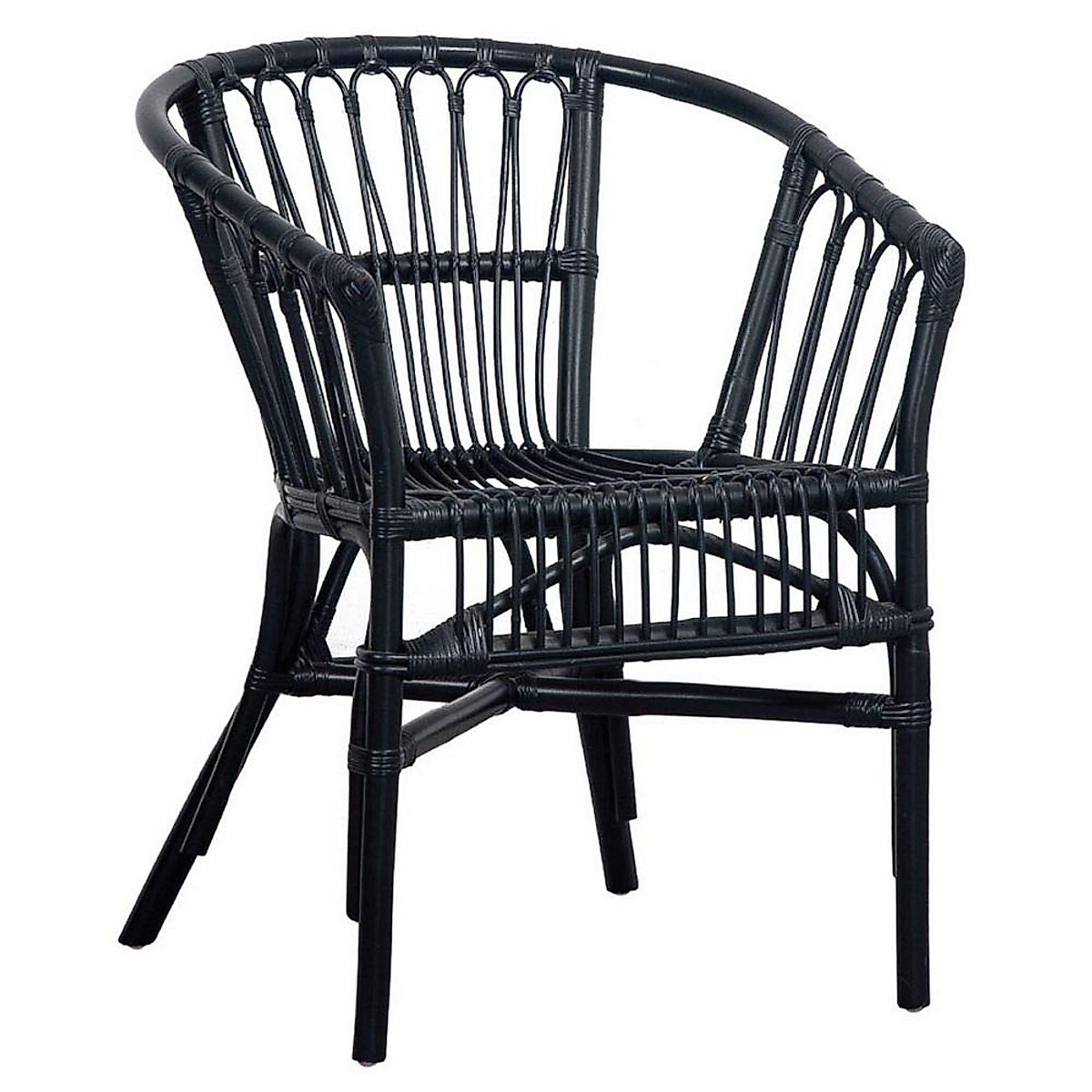Safavieh Home Adriana Coastal Black Rattan (Set of 2) Accent Chair, 0