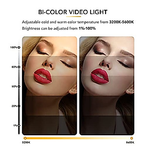 Switti LED Video Light Lighting Kit, Dimmable Bi-Color Panel Light with Stand for Photography/Live Streaming/YouTube/Video Conference|3200K-5600K, CRI95+