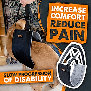 Mighty Paw Dog Lift Harness | Dog Sling for Large Dogs Hind Leg Support - Makes Lifting Rear Legs of Bigger Canines Easier - Comfortably Supports Back Legs - Hip and ACL Brace for Eldery Dogs (Lg)