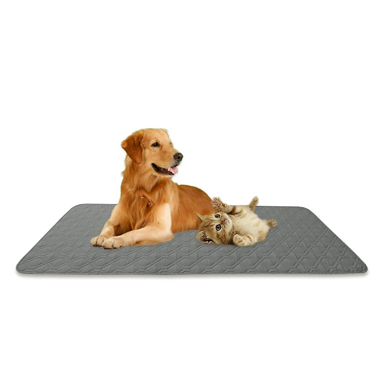 SUNNYTEX Waterproof Dog Bed Cover Dog Mat Pet Pad Pet Blanket for Couch Sofa Bed Mat Anti-Slip Furniture Protrctor