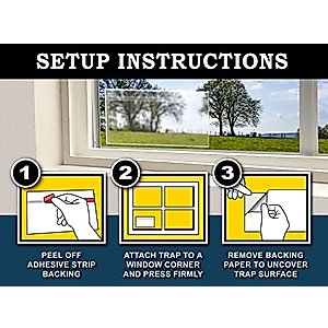 MaxGuard Window Fly Traps (24 XL Traps) Catch & Kill Houseflies, Flying Insects & Bugs. Non-Toxic Sticky Glue Traps Fly Killer Clear Strip Insect Catcher Safe No Zapping with Zapper |