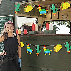 Kristin Paradise Mexican Banner, Taco Twosday Party Sign, Donkey Theme Birthday Decorations, Fiesta Boy Girl Baby Shower Supplies, Cinco de Mayo Bday Kids 1st First Decor