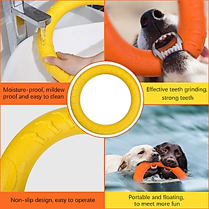 Leitee 2 Pack Dog Ring Toys Indestructible Dog Toys Dog Chewing Ring Toy Flying Discs Floating Dog Training Tools Pet Fetch Toy for Small Medium Large Dogs Throwing, Catching, Flying