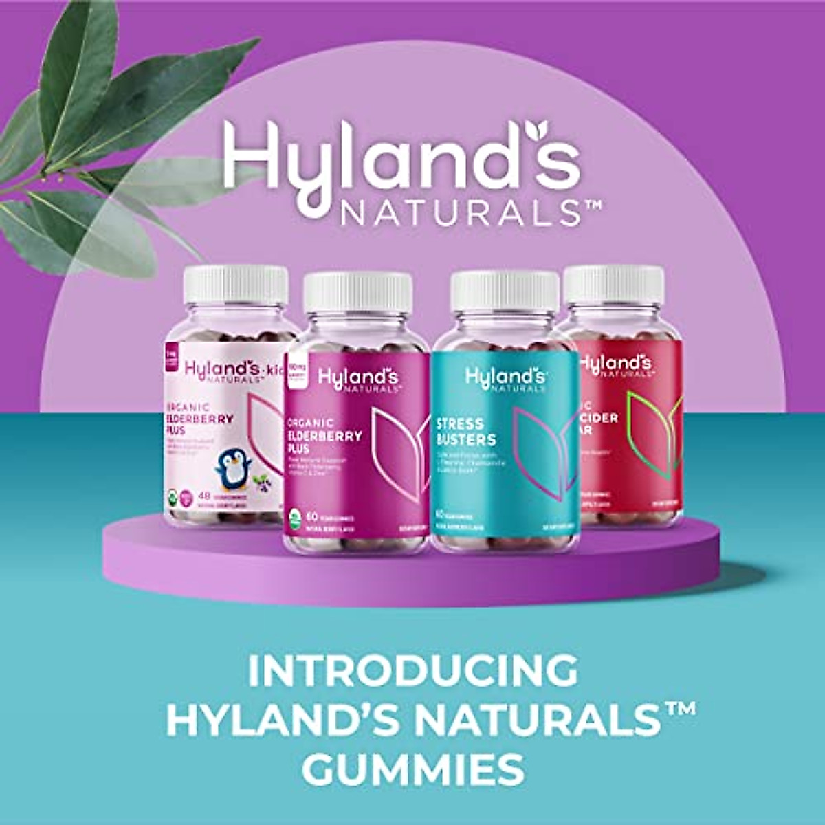 Hyland's Naturals Organic Elderberry Plus Gummies, Organic Black Elderberry with ZINC and Vitamin C, Immune Support Supplement for Adults, 60 Vegan Gummies (30 Days)