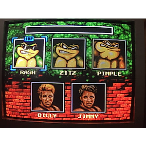 Battletoads/Double Dragon (Renewed)