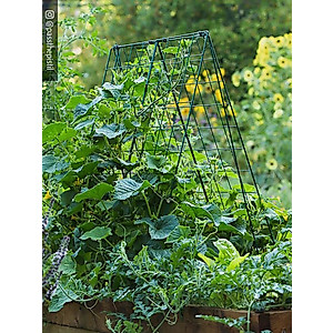 Gardener' s Supply Company Deluxe Cucumber Trellis | Outdoor A-Frame Trellis Plant Support for Vining Vegetables with 4" Grids for Easy Harvesting | 32" W x 46" H - Green