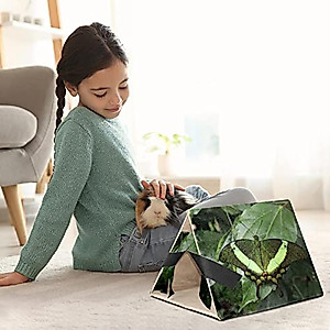 RATGDN Small Pet Hideout Green Butterfly Hamster House Guinea Pig Playhouse for Dwarf Rabbits Hedgehogs Chinchillas