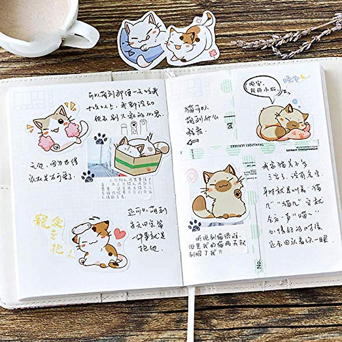 Small Size Scrapbook Stickers, 45pcs Doraking Boxed DIY Decoration Super Cute Cats Stickers for Laptop Planners Scrapbook Suitcase Diary Notebooks Album(Sweet Cats, 45pcs/ Box)