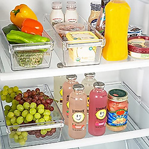 Kitchen Details 2 PK Stainless Lip Fridge & Freezer Organizer, Kitchen, Countertops, Cabinets, Pantry, Large 2 Pack Refrigerator Storage Bins, Super Clear