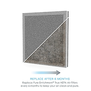 Pure Enrichment Genuine 3-in-1 True HEPA Replacement Filter for the PureZone Air Purifier (PEAIRPLG)