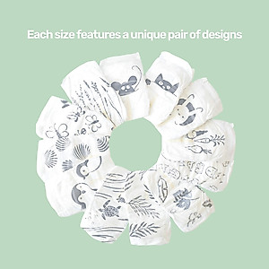 PARASOL Clear+Dry Disposable Diapers, RashShield Protection, Leakproof Design, Hypoallergenic, Size 1 (7-14 lbs), 160 Count