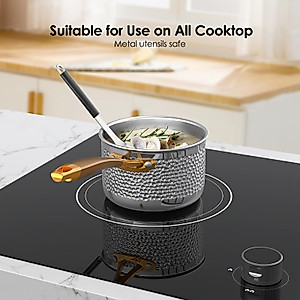 Homaz life 2-Quart Saucepan with Tempered Glass Lid, Tri-Ply Stainless Steel Cookware, Induction Ready, Compatible with All Cooktops, Dishwasher Safe, Non-Toxic, Gold-Colored Stay-Cool Handle