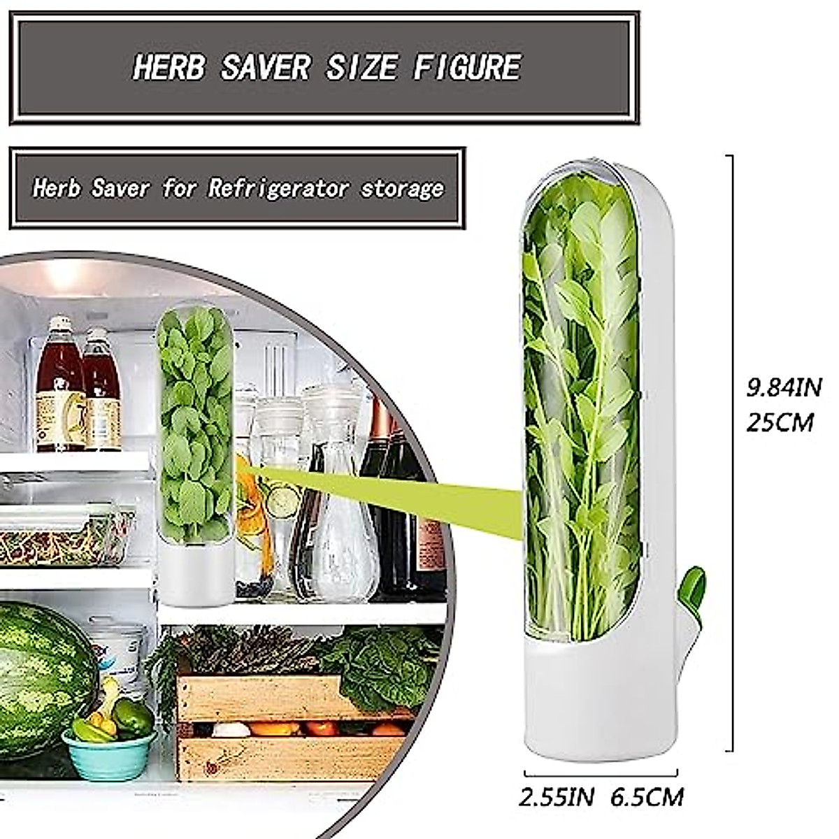 Vamrak Herb Saver for Refrigerator, Fresh Herb Keeper, Cilantro Containers for Refrigerator, Herb Saver Pod, Fresh Herb Keeper for Cilantro, Parsley, Asparagus, Keeps Vegetables for 2-3 Weeks (3PCS)