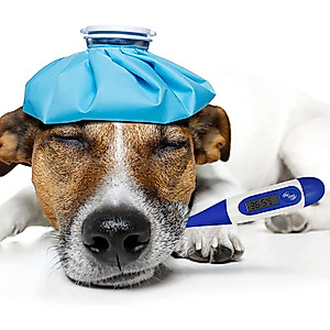 Elolicu Pet Thermometer, Waterproof Digital Veterinary Thermometer Portable Pet Digital Thermometer Pet Thermometer with Reminder Function Thermometer for Dogs Cats Horse Cattle Pigs Sheep