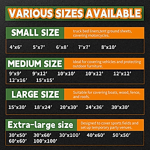 RAINDEWAY Tarps 9x9 Feet - 5.5 Mil, Multipurpose Waterproof Poly Tarp Cover with Metal Grommets and Reinforced Edges, Silver/Blue Tarp