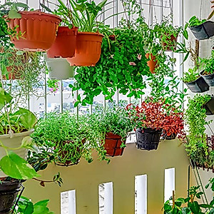 M METERXITY 5 Pack Plant Pot Hole Mesh Pads - Bowl Shape Bonsai Flowerpot Drainage Grid Screen Apply to Outdoor/Garden (20x70mm, Black)