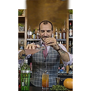 Crafthouse by Fortessa Professional Metal Barware/Bar Tools by Charles Joly, 12.5" Stainless Steel Twisted Bar Spoon