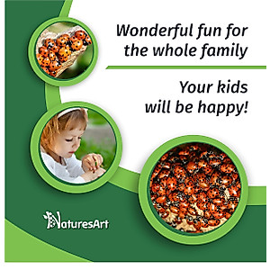 NaturesArt 3000 Live Ladybugs - Good Bugs for Garden - Ladybug - Guaranteed Live Delivery!