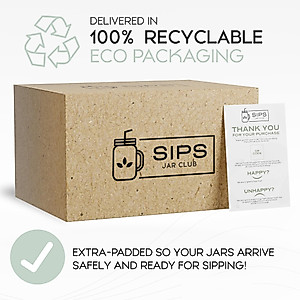 Sips Jar Club 20oz Mason Jar Mug Set of 4 with Handles, Lids, Straws & Cleaning Brush - Overnight Oats & Iced Coffee Cups